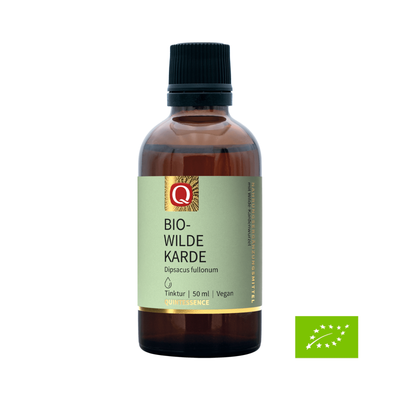 Bio-Wilde Karde Tinktur online kaufen – Quintessence